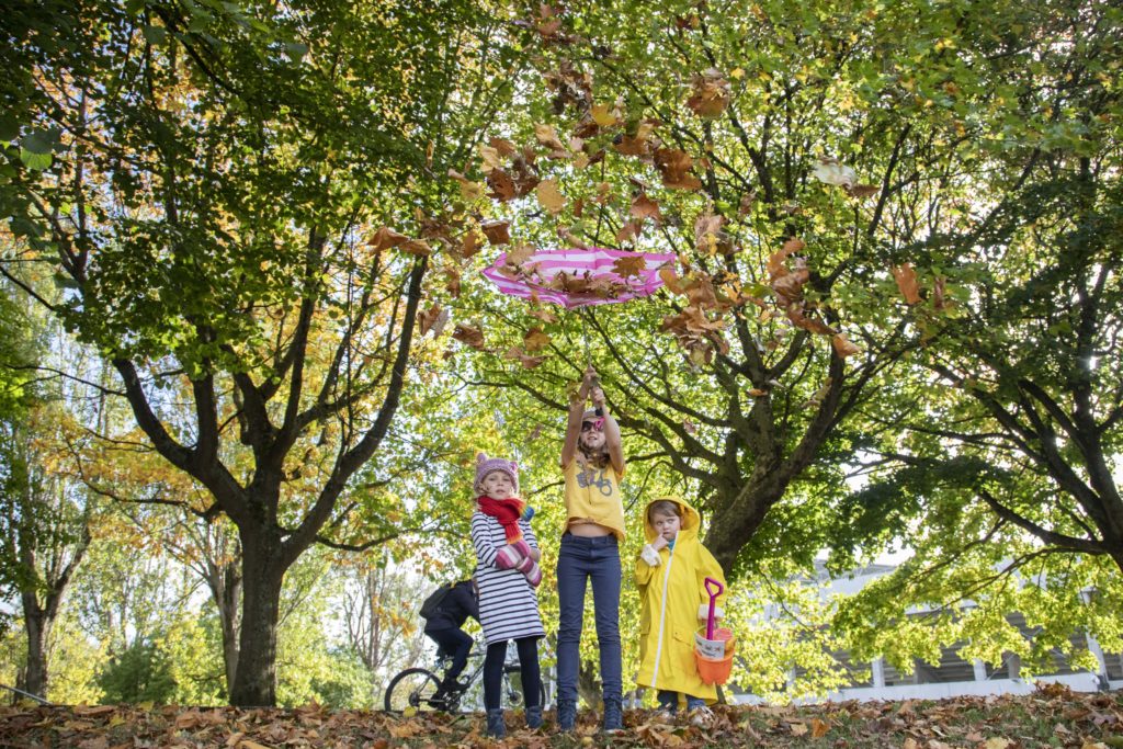 Details unveiled for Cork Science Festival - November 2018 | TheCork.ie ...