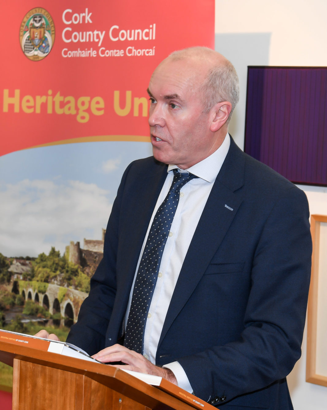 NEW BOOK: The Colourful Heritage of County Cork | TheCork.ie (News ...