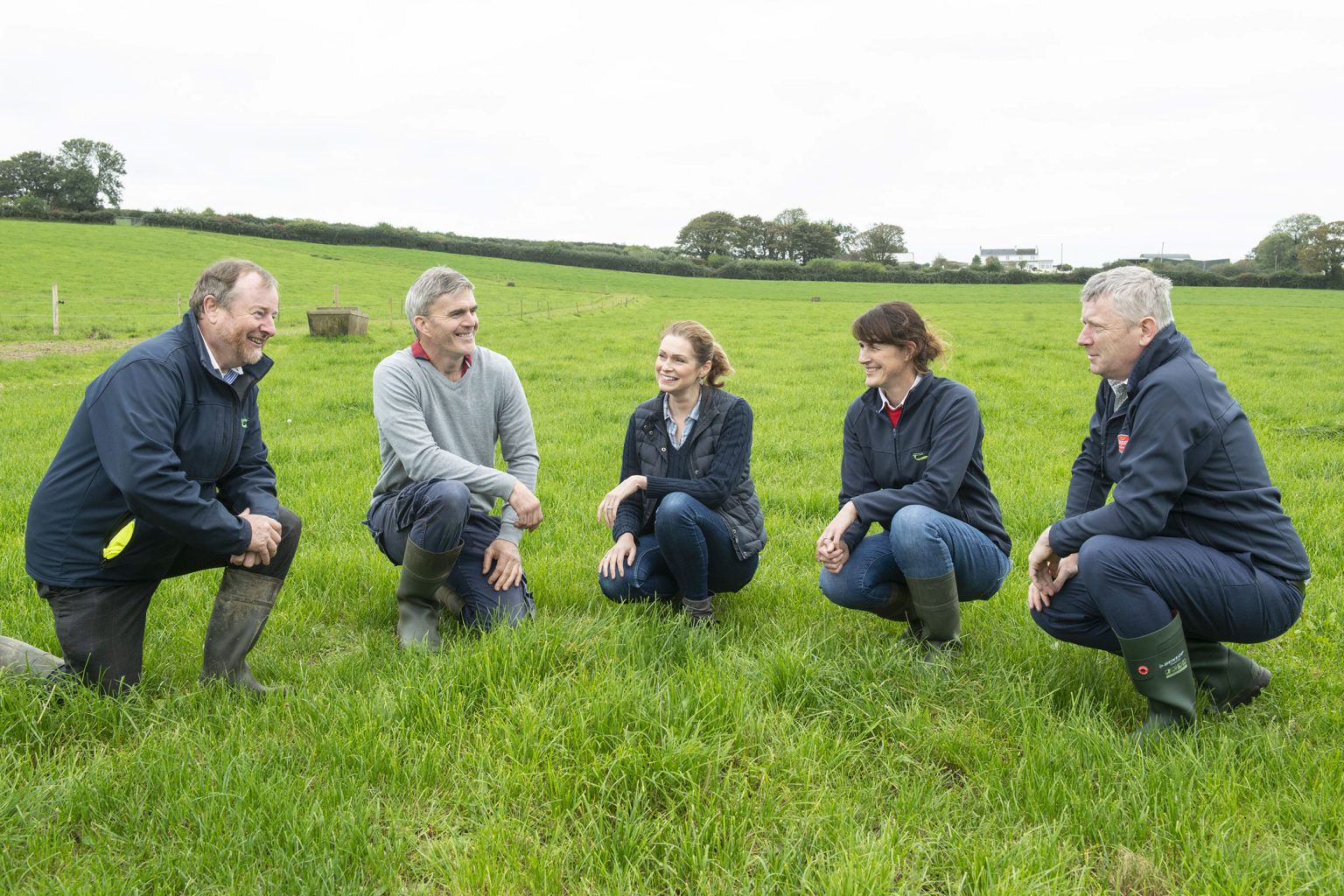 FARMING: Teagasc/Dairygold Farm Walk at Rostellan, Midleton #EastCork ...