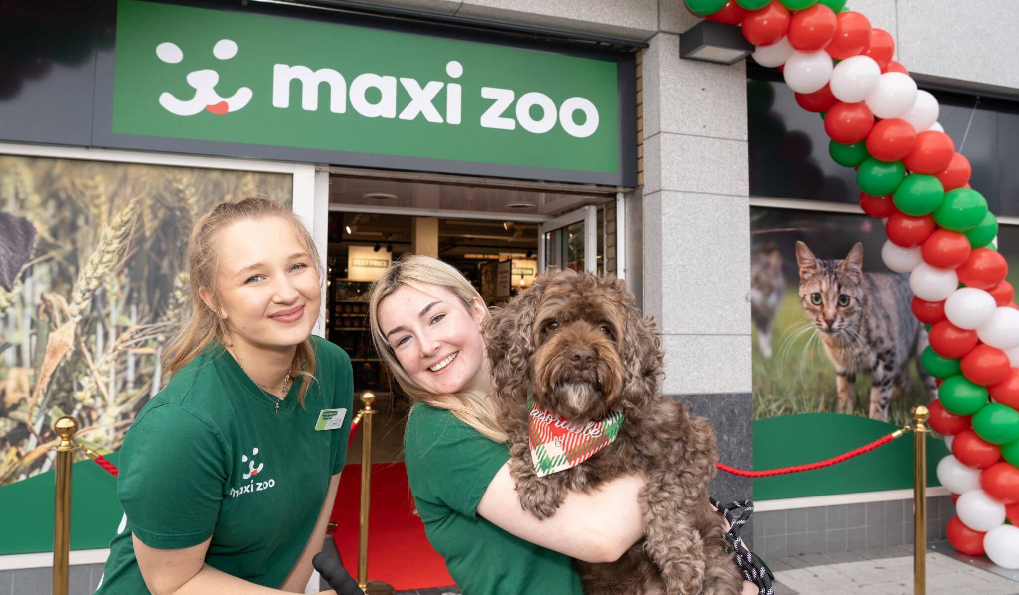 Cork headquartered Maxi Zoo opens 33rd store in Ireland | TheCork.ie ...