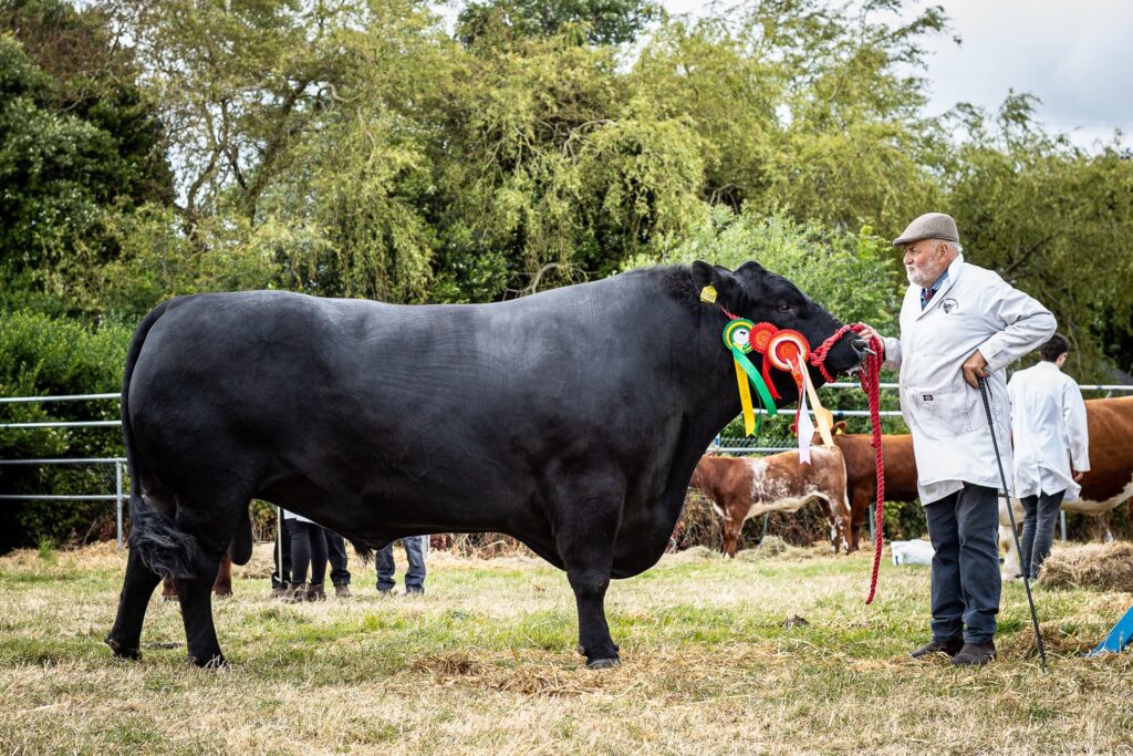 Cork Summer Show 2025 Open for Competitor Applications | TheCork.ie ...