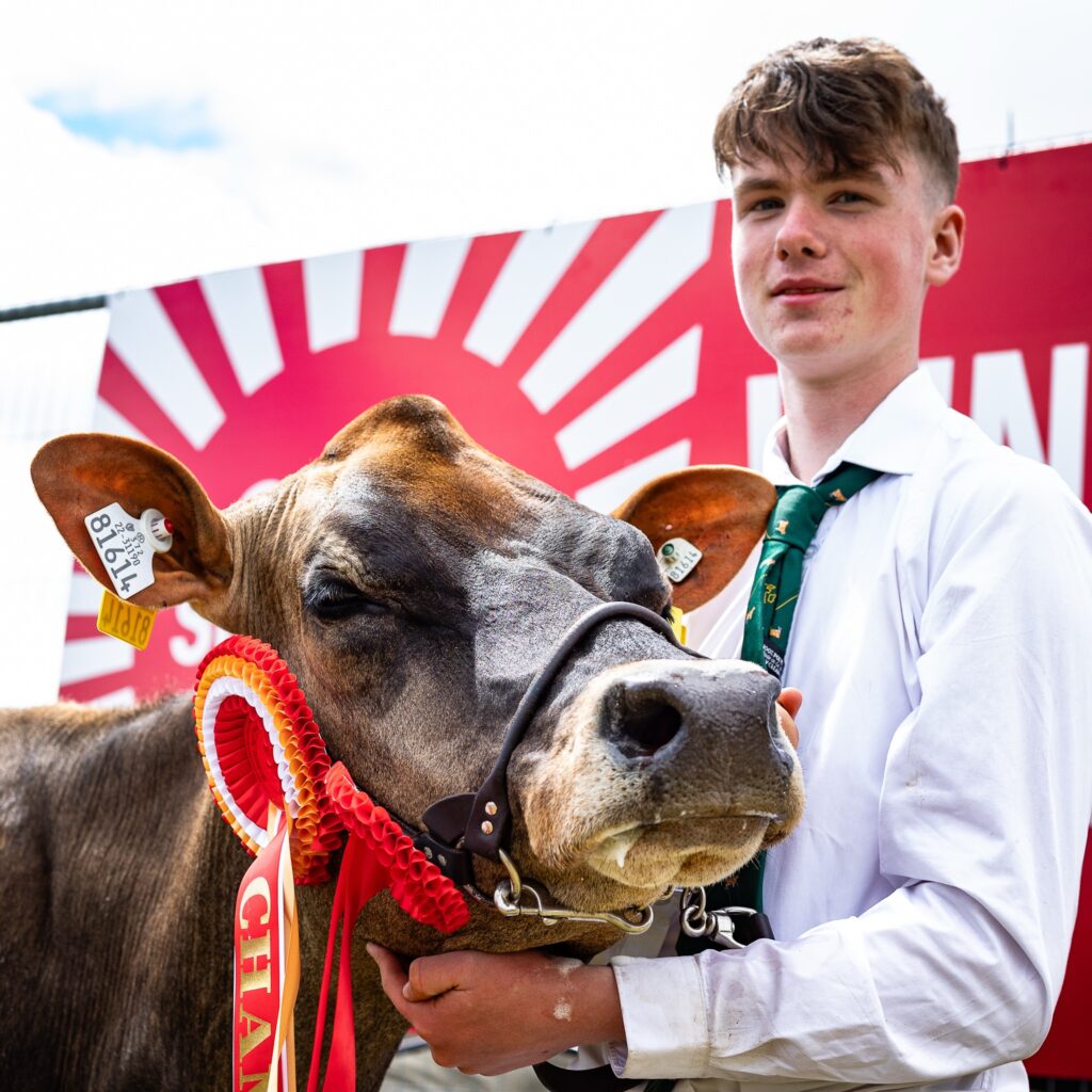 Cork Summer Show 2025 Open for Competitor Applications | TheCork.ie ...