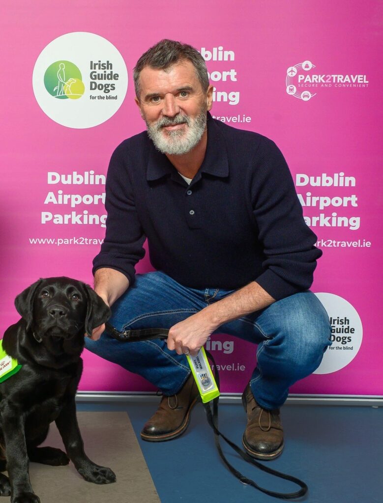 Irish Guide Dogs for the Blind are fundraising today across Cork ...