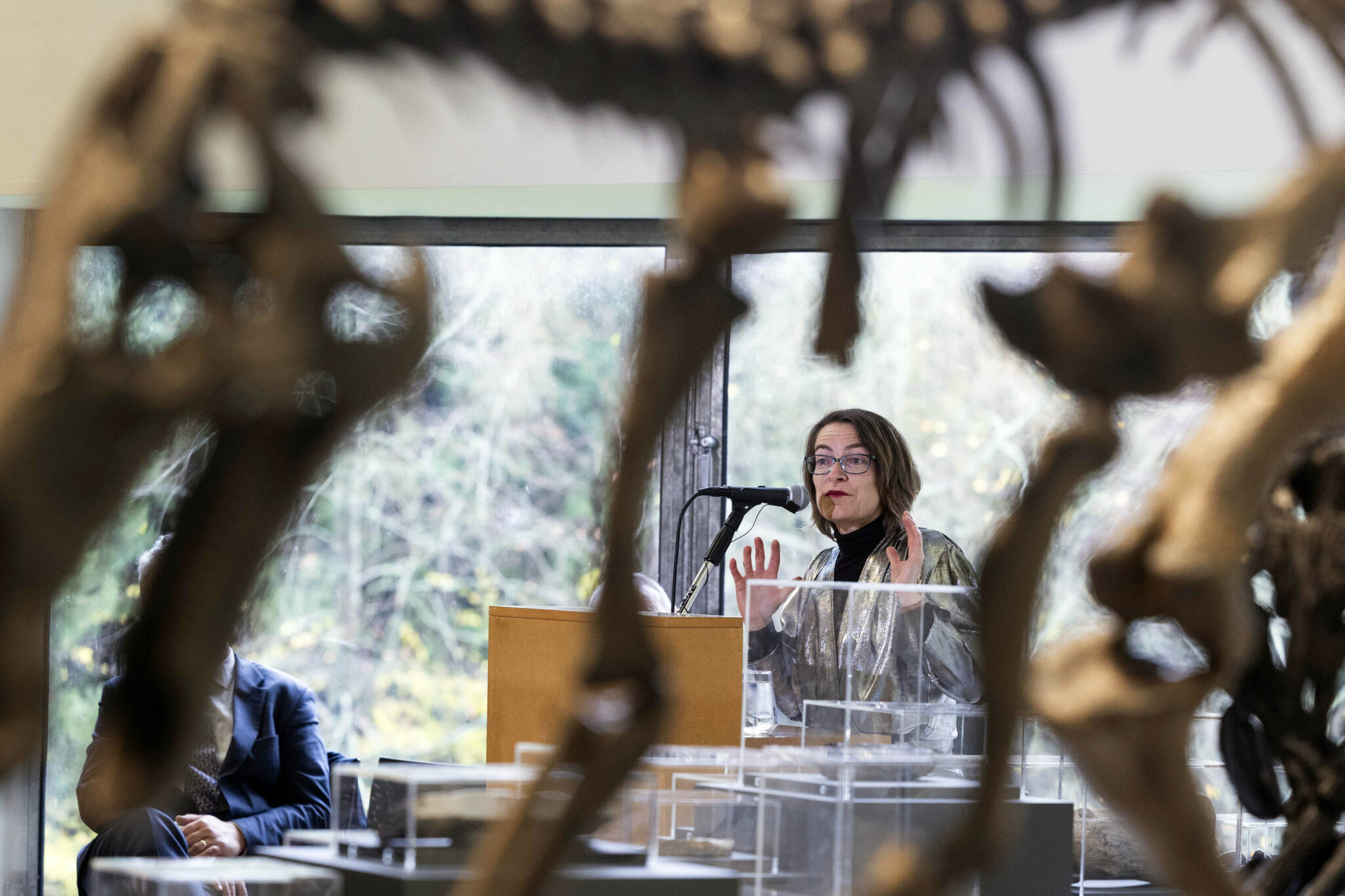 Ireland's Dinosaur Fossils on display at Glucksman, UCC | TheCork.ie ...