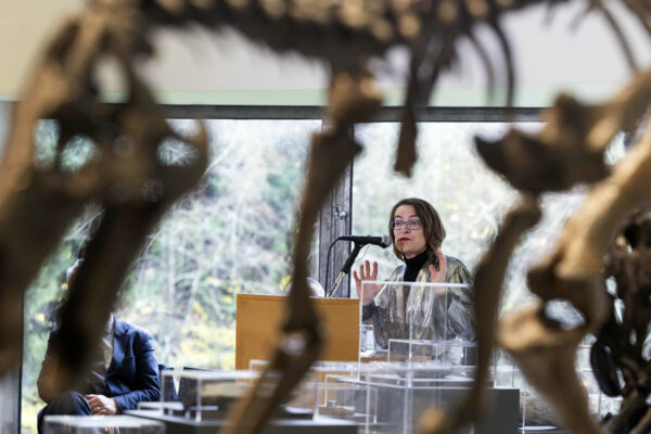 Ireland's Dinosaur Fossils on display at Glucksman, UCC | TheCork.ie ...