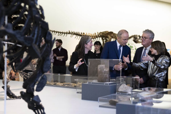 Ireland's Dinosaur Fossils on display at Glucksman, UCC | TheCork.ie ...