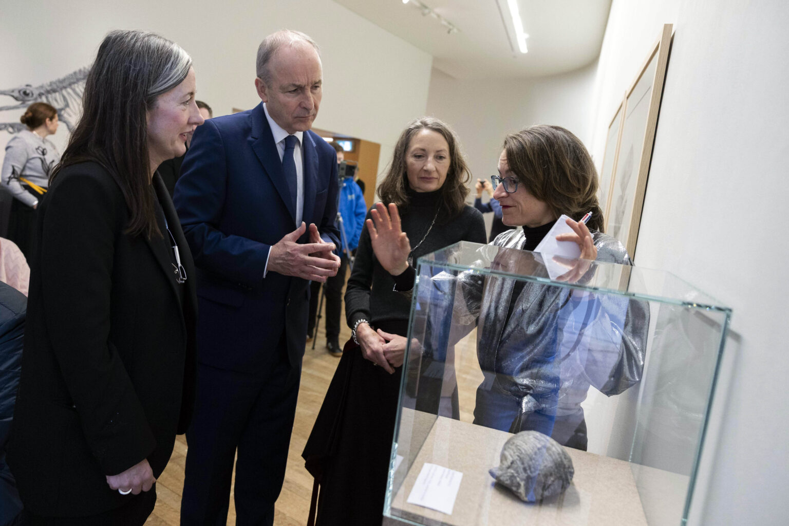 Ireland's Dinosaur Fossils on display at Glucksman, UCC | TheCork.ie ...