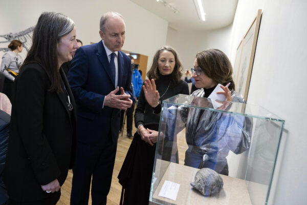 Ireland's Dinosaur Fossils on display at Glucksman, UCC | TheCork.ie ...